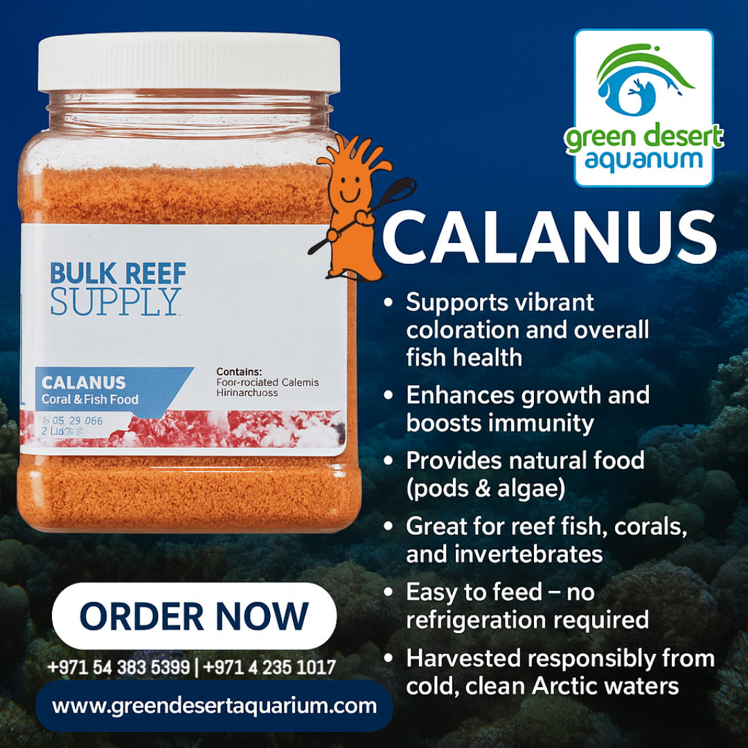 BRS Calanus, Freeze Dried Coral & Fish Food — Green Desert Aquarium ...
