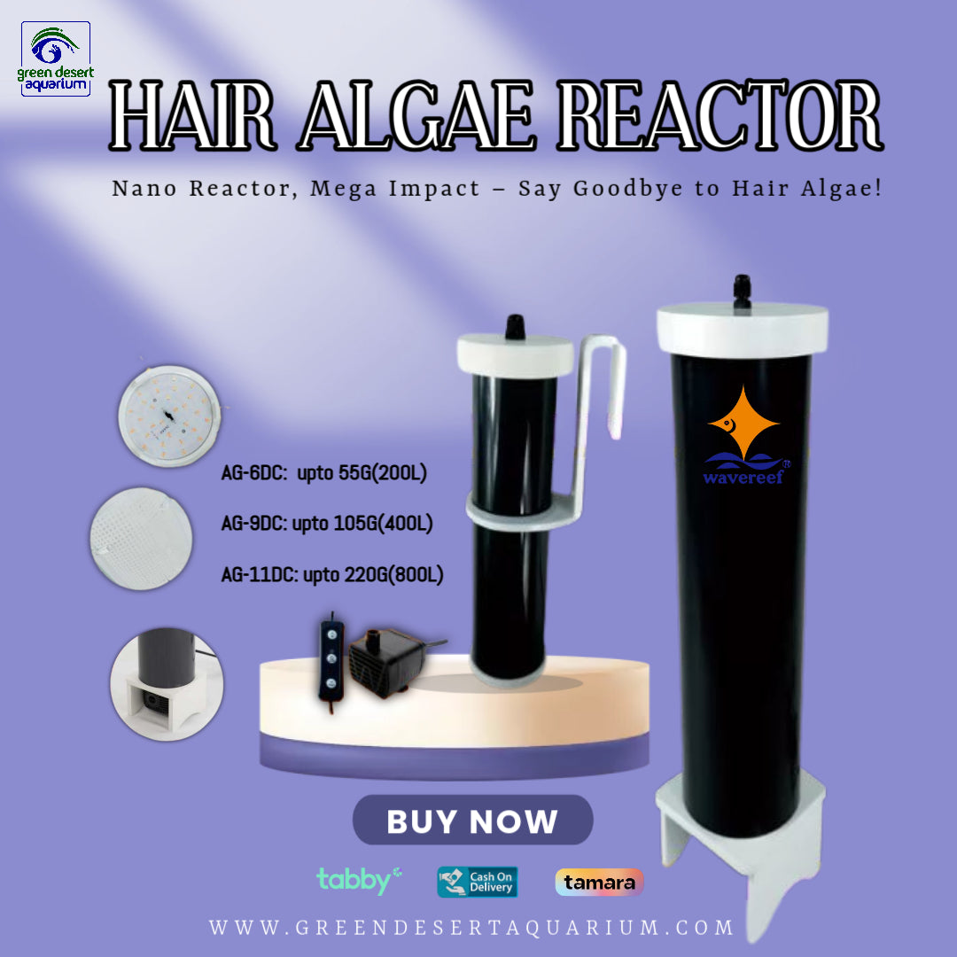 WaveReef AG-6DC Hair Algae Reactor – Compact Nutrient Control Reactor ...